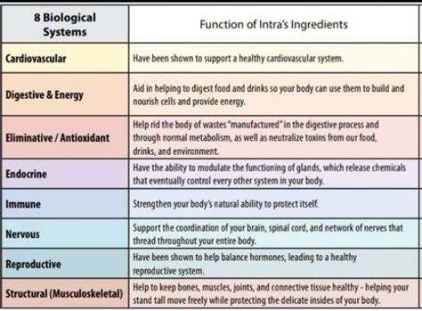 ‼️💯mga Functions Ng Ingredients Intra Madrid España