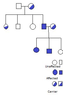Polygenic Inheritance Pedigree