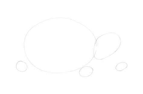 How To Draw A Turtle Envato Tuts