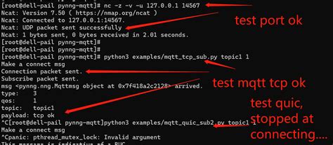Mqttquicsubpy Does Not Connect To Mqtt Broker · Issue 5 · Wanghaemq