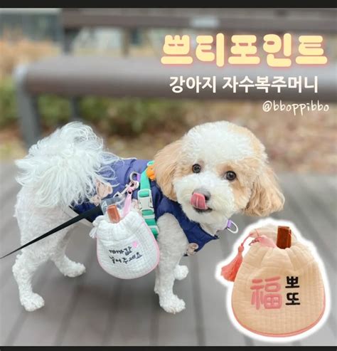 명 프로젝트 스팔 맞팔 리포스트 이제 올해도 다 갔네 아직은 수입보다 지출이 더 많은 인 사업자 올해도 고생했어 잘 버텼어 내년엔 지출보다 수입이 더 많아지길 노력하자