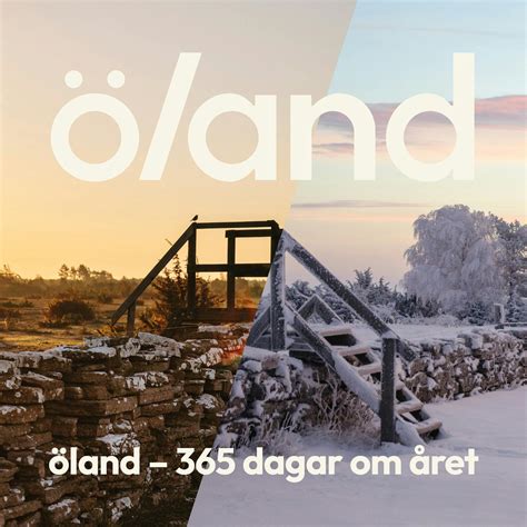 Öland X Wilson Creative