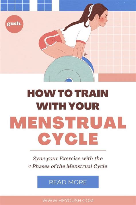 Menstrual Cycle Phases And Hormones Artofit