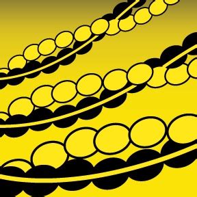 Focus On Actin G F Actin Ratio Measured In Cells Tebubio S Blog