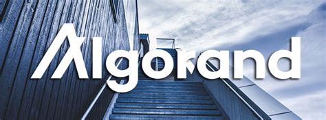 algorand [algo] new update promises scalability and speed for dapps