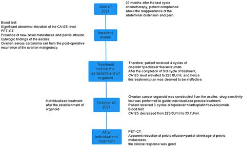Effective Treatment For Recurrent Ovarian Cancer Ijwh