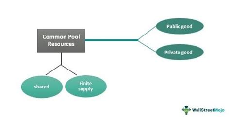 common pool resources definition example characteristics