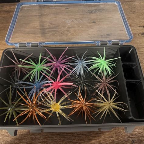 Urchin Bait Box Etsy