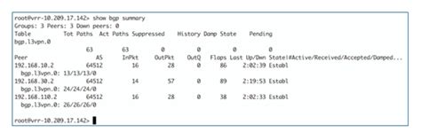 Network Operation CSO Juniper Networks