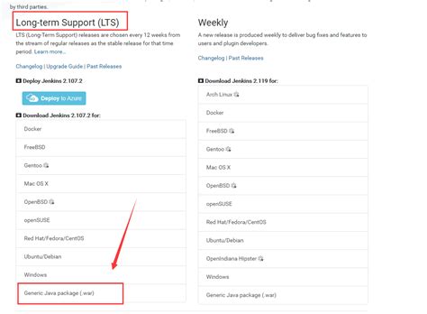 jenkins系列 五 jenkins自动发布spring boot应用 jenkins exec in pty 作用 csdn博客
