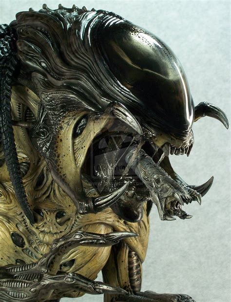 Predator Xenomorph Hybrid