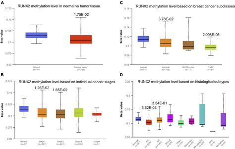 Frontiers Comprehensive Analysis Of Runx And Tgf β Mediated Regulation Of Immune Cell