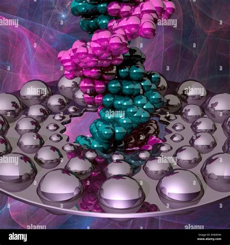 Conceptual Illustration Of A Double Stranded DNA Deoxyribonucleic Acid Molecule With DNA