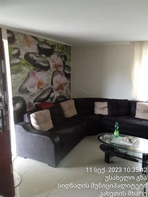 ყიდვა გაყიდვა კახეთში 🚫სასწრაფოდ იყიდება ქ სიღნაღთან ახლოს ბოდბისხევში კერ