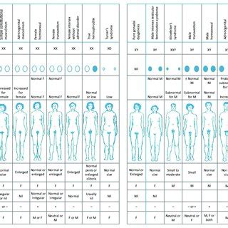 Spectrum Of Human Sexual Characteristics By C N Armstrong Download Scientific Diagram