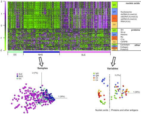 Heatmap And Principal Component Analysis Of The Functional Antibody Download Scientific Diagram
