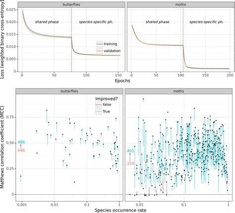 Training Curves Top Row Shows Multi‐branch Models Two‐step Training