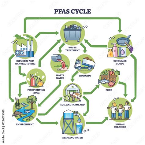 Pfas Cycle Diagram Shows The Flow From Industry To Human Exposure