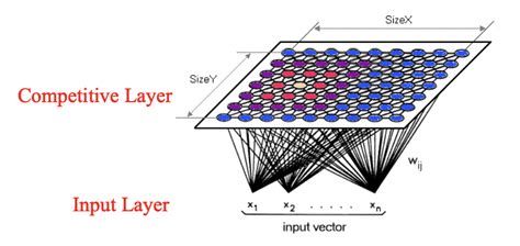 지능형 시스템 Chapter 5 Som 자기조직화지도 Self Organizing Map