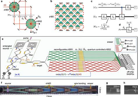 A Quantum Delayed Choice Multipath Experiment On A Large Scale Download Scientific Diagram