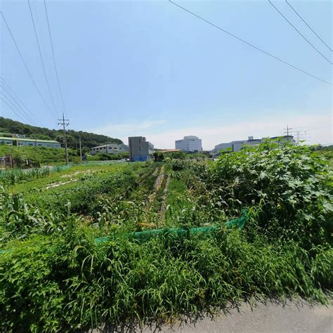 케이지모빌리티 장지 서비스프라자