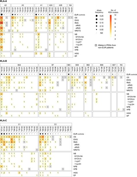 hla class i alleles detected in pdx models from pediatric solid