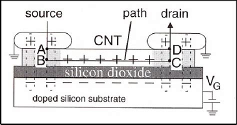 13 Cnt Based Field Effect Transistor Download Scientific Diagram