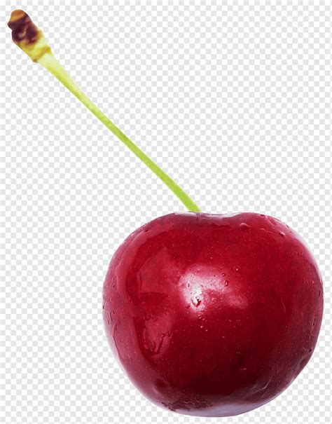 الحلو الكرز الحامض الكرز Cerasus الفاكهة ، الكرز الأطعمة الطبيعية Frutti دي بوسكو الغذاء Png