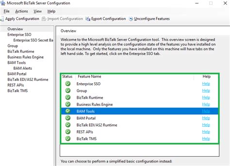 Configure And Use Rest Apis In Biztalk Server 2020