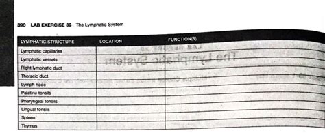 Solved 390 LAB EXERCISE 39 The Lymphatic System LYMPHATIC STRUCTURE Course Hero