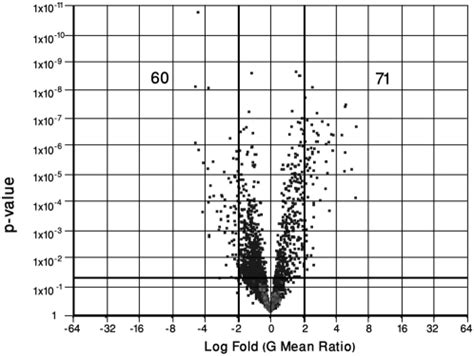 Data Points Were Extracted From A 1 Way Analysis Of Variance ANOVA