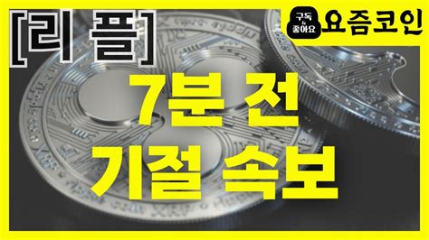 리플 』 와 돌아 버리겠네 진짜 리플 리플코인 코인 리플전망 비트코인 비트토렌트 시바이누 호재 리플호재 Youtube