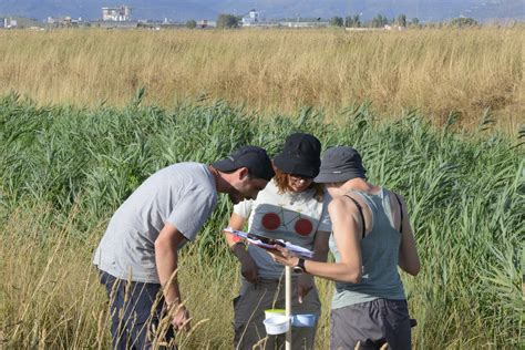 Malta Pollinator Monitoring Scheme Call For Citizen Scientists Era