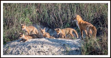 Spence Harrison Photography