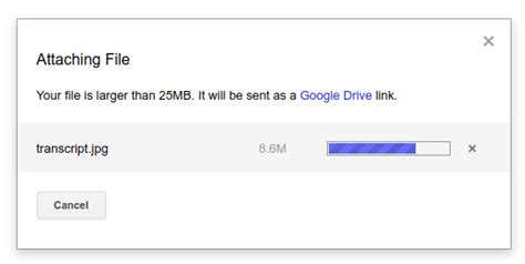 Your File Is Larger Than 25MB R Softwaregore