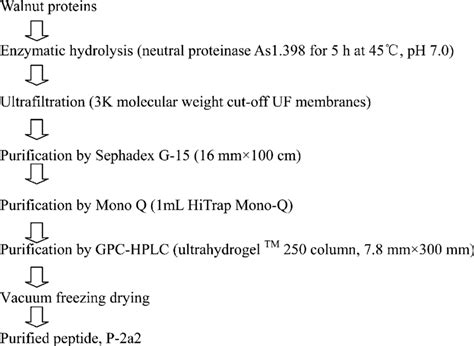 Flowchart Of Purification Of The Ace Inhibitory Peptide The