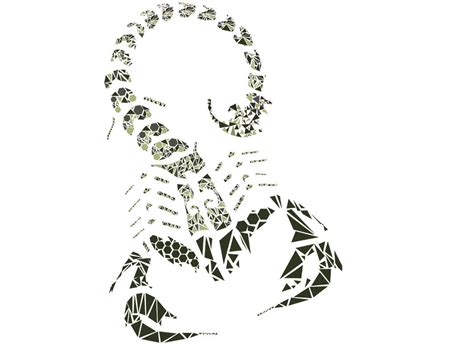 Illustrator Polygon Animal