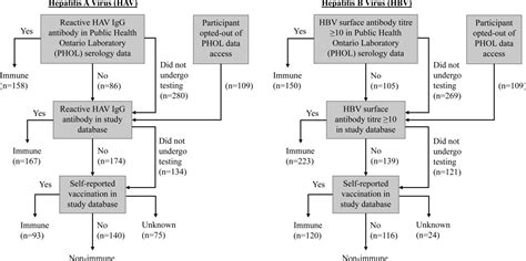 Hiv Pre Exposure Prophylaxis And Opportunities For Vaccination Against Hepatitis A Virus