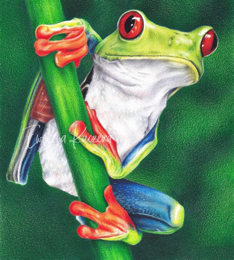 How To Draw A Frog With Colored Pencils A Step By Step Tutorial Artistic Blog Learn How To