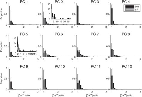 Biophysically Detailed Ca2 Dynamics Model Causes Larger Differences In Download Scientific