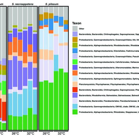 Bacterial Community Composition Relative Abundance In Percentage Of