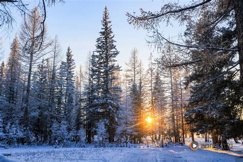 Ойрын 5 хоногийн цаг агаарын урьдчилсан төлөв