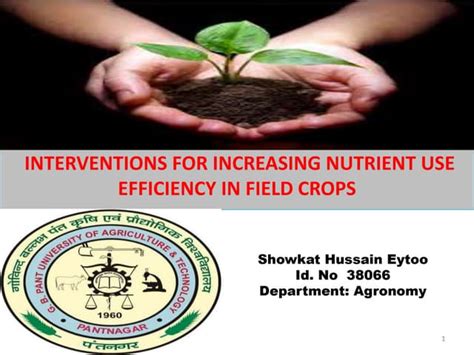 Nutrient Use Efficiency Pptx