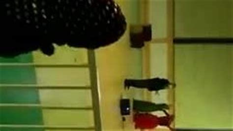 استقبال بینظیر مردم از رزیتا دغلاوی نژاد خاله فرشته مهربون برترین