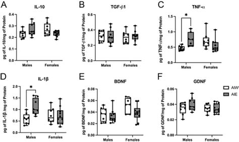 The Influence Of Sex On Hippocampal Neurogenesis And Neurotrophic Responses On The Persistent