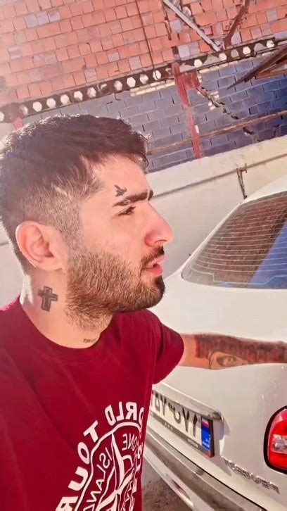 Afshinfadamirinstagram On Pinno اول صبح سگ اومد تو حیاطمون 🥲😂 افشین