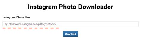 instagram profile downloader tereton