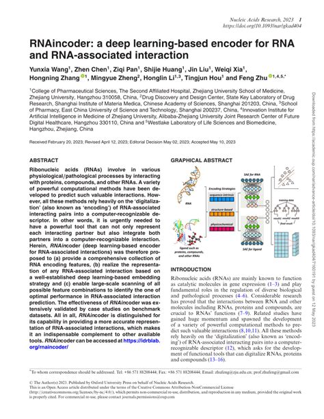 PDF RNAincoder A Deep Learning Based Encoder For RNA And RNA Associated Interaction
