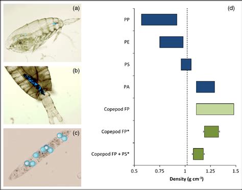 Figure 4 From Marine Microplastic Debris A Targeted Plan For Understanding And Quantifying