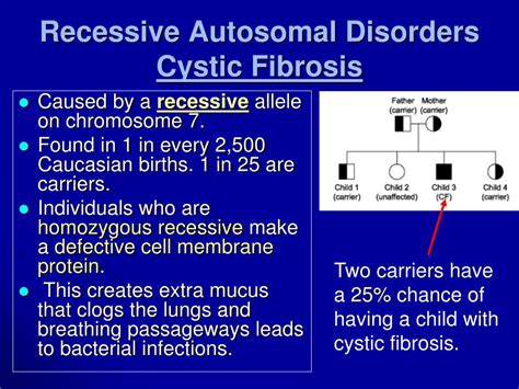 Ppt Human Inheritance Notes Ch 14 Part Ii Powerpoint Presentation